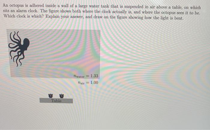 Solved An octopus is adhered inside a wall of a large water | Chegg.com