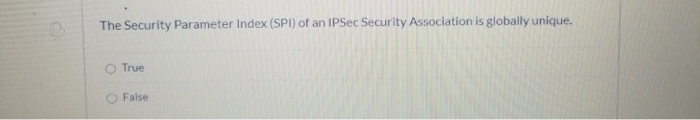 Solved The Security Parameter Index (SPI) of an IPSec | Chegg.com