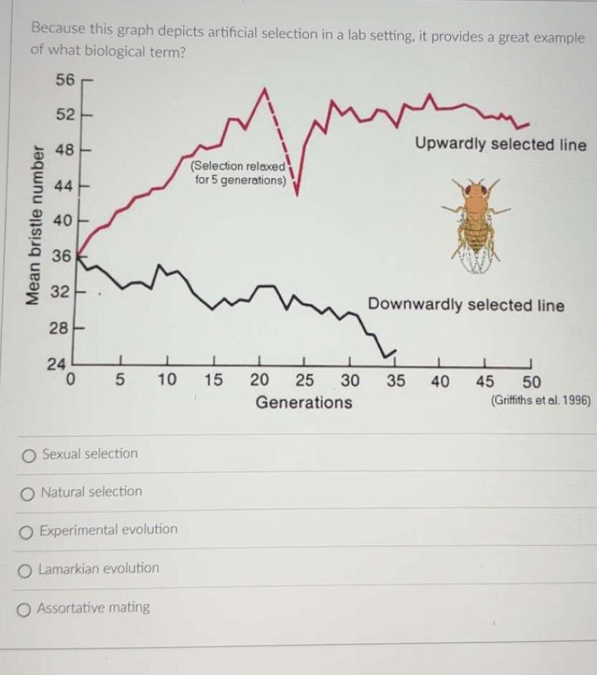Solved Because this graph depicts artificial selection in a | Chegg.com