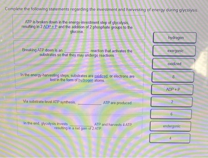 Solved Complete the following statements regarding the | Chegg.com