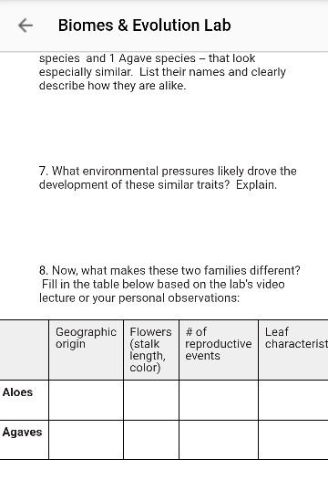 Solved Biomes & Evolution Lab Cacti (New World) Euphorbs | Chegg.com