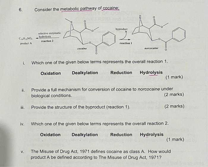Solved 6. Consider the metabolic pathway of cocaine: i. | Chegg.com