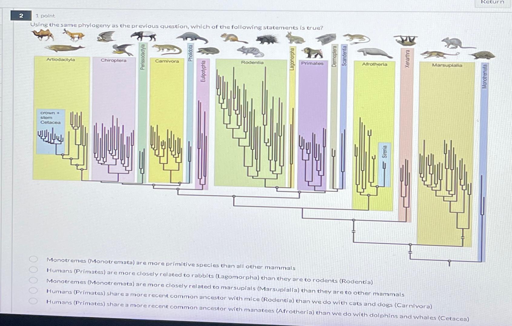 Solved Return1 ﻿pointUsing the same phylogeny as the | Chegg.com