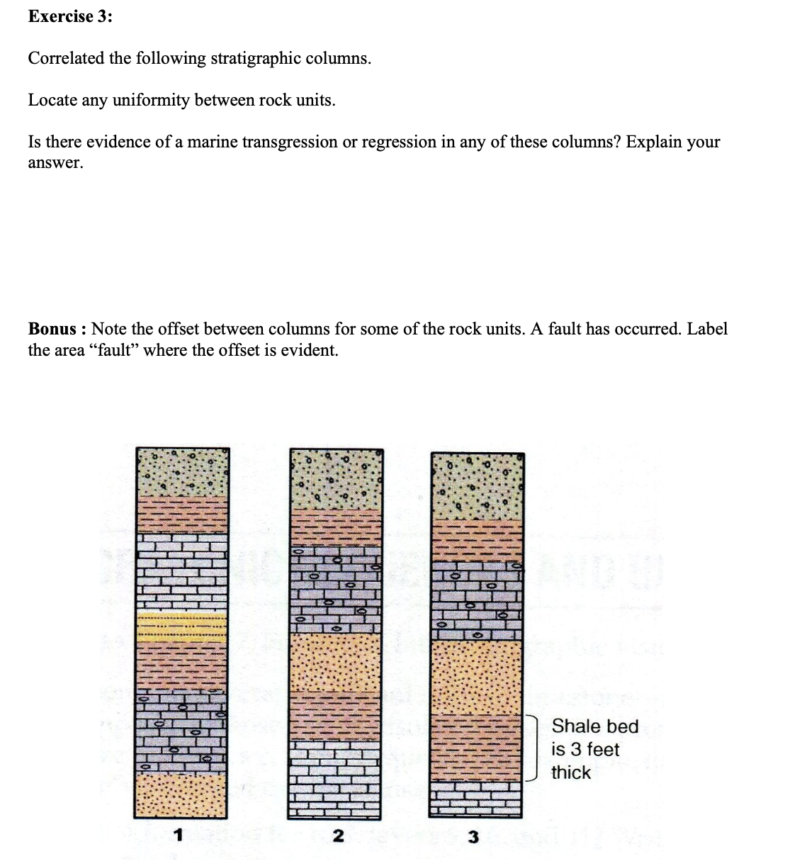 Exercise 3: Correlated the following stratigraphic | Chegg.com