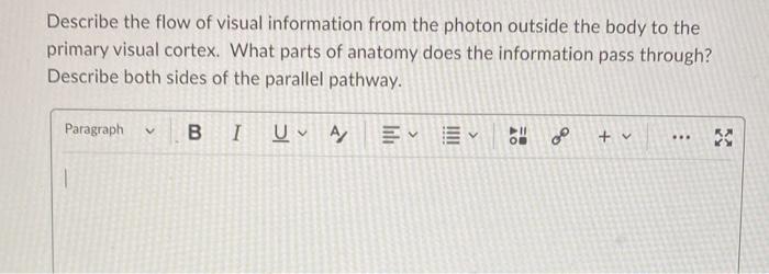 Solved Describe the flow of visual information from the | Chegg.com