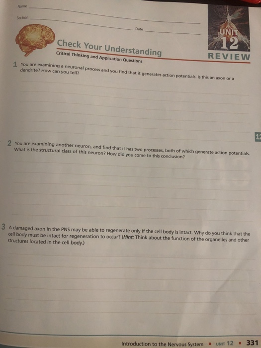 Solved Name Section Date UNIT Check Your Understanding 12 | Chegg.com