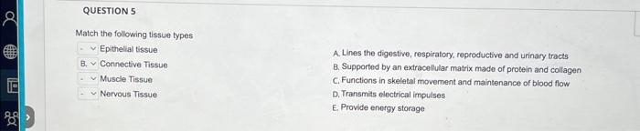Solved Match the following tissue types Epithelial tissue | Chegg.com