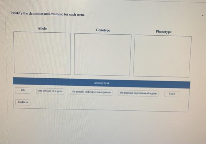 Solved Identify the definition and example for each term. | Chegg.com