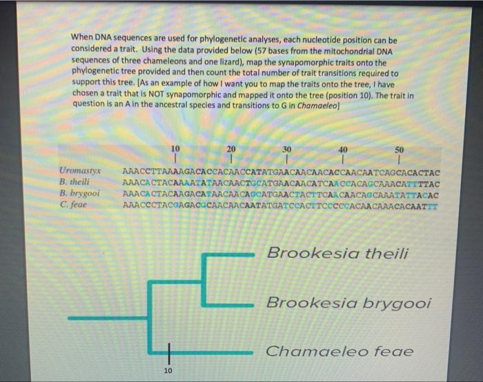 Solved When DNA sequences are used for phylogenetic | Chegg.com