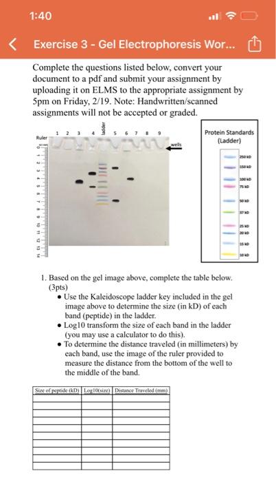 Solved 1:40 ( Exercise 3 - Gel Electrophoresis Wor... | Chegg.com