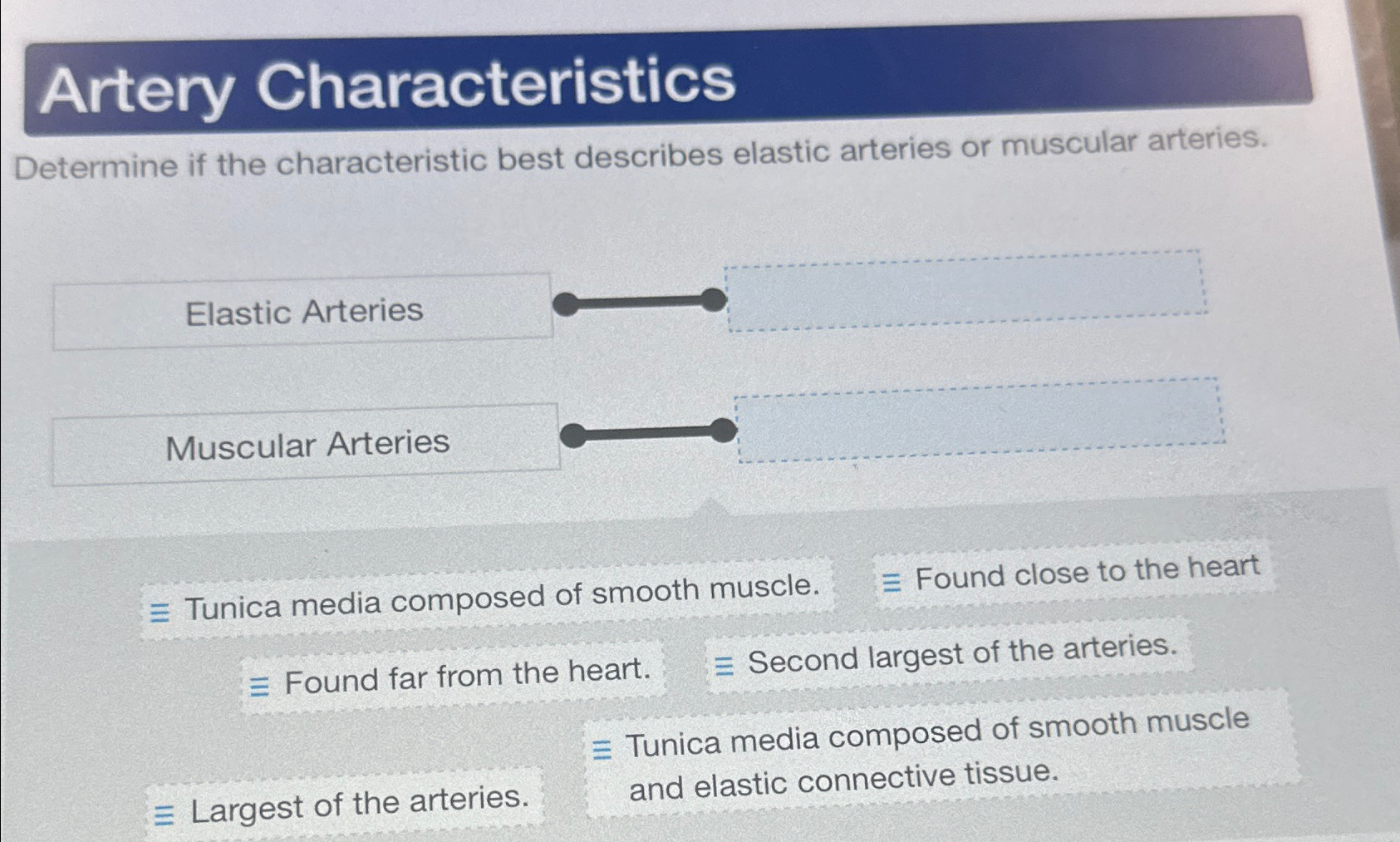 Solved Artery CharacteristicsDetermine if the characteristic | Chegg.com