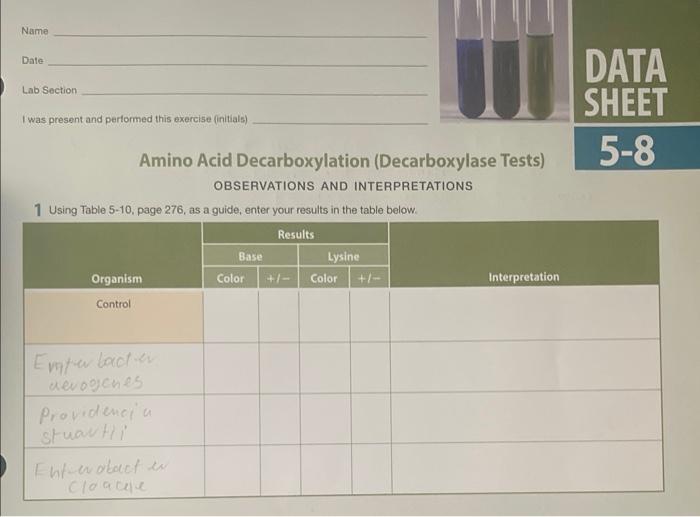 Amino Acid Decarboxylation (Decarboxylase Tests) | Chegg.com