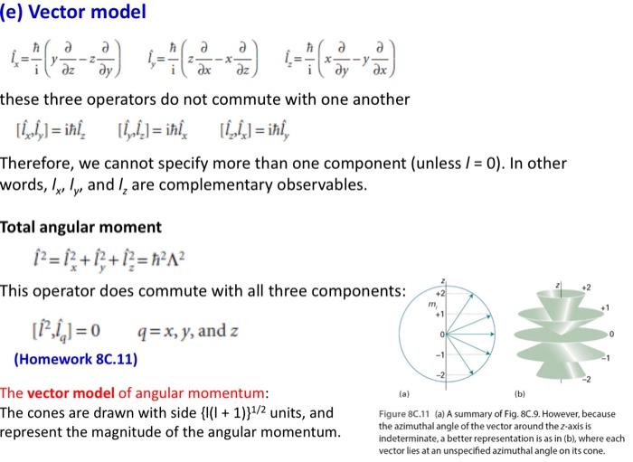 Solved (e) Vector model | Chegg.com