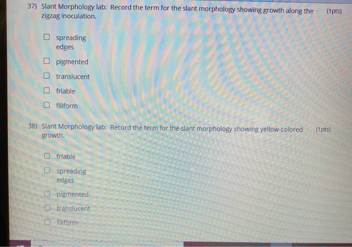 Solved 33) Broth Morphology lab: Record the term for the | Chegg.com