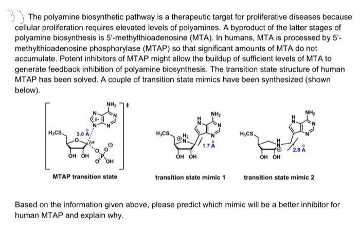 Solved The polyamine biosynthetic pathway is a therapeutic | Chegg.com