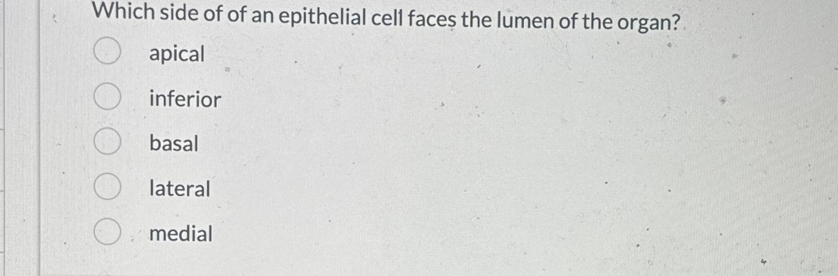 Solved Which side of of an epithelial cell faces the lumen | Chegg.com