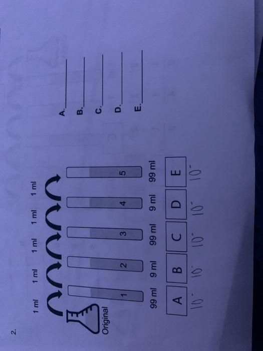 Solved 2. 1 ml 1 ml 1 ml 1 ml 1 ml nnnnn B. C. Original !!!! | Chegg.com