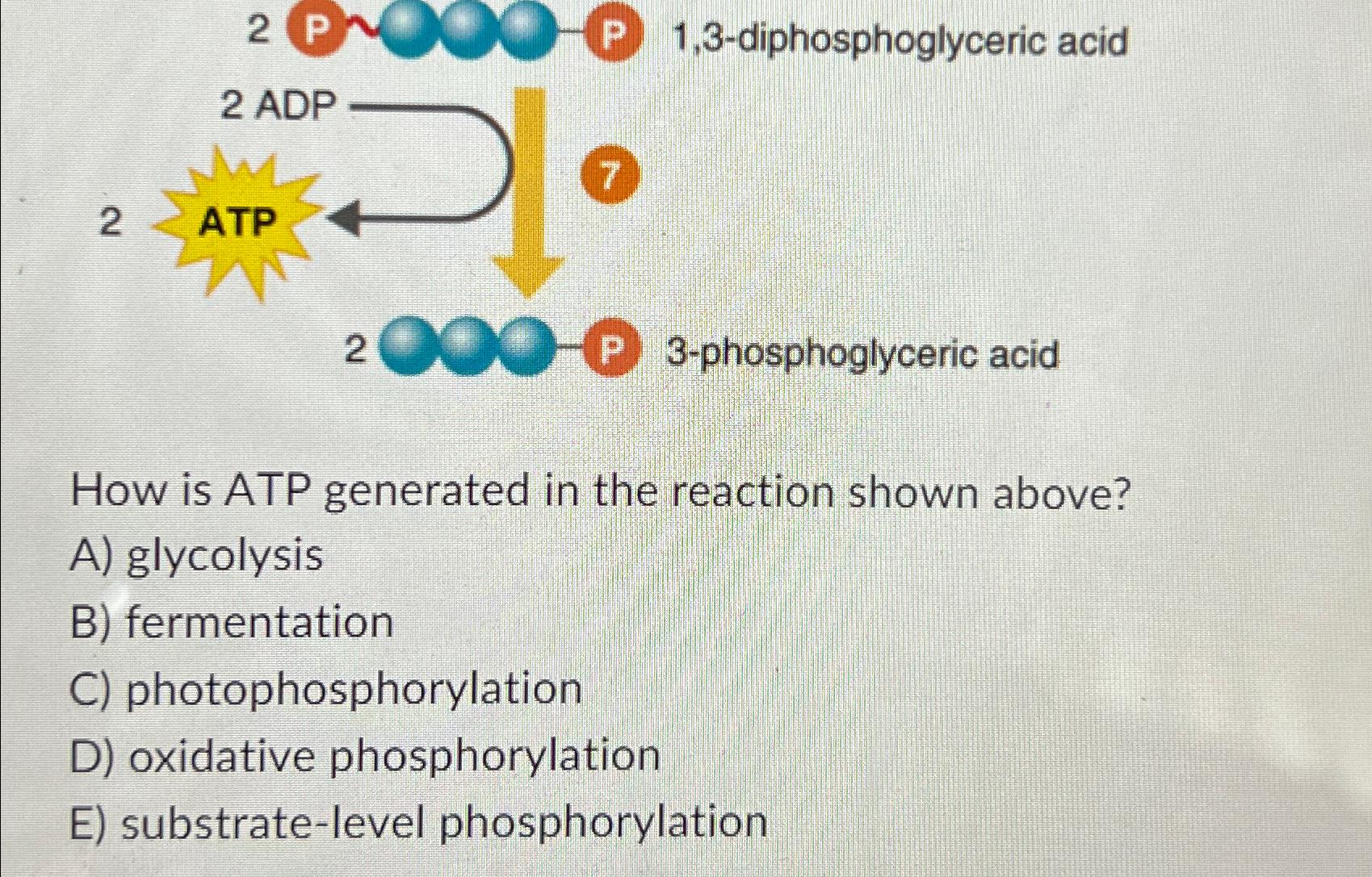 Solved 2 ﻿P - ﻿P 1,3-diphosphoglyceric acid2 | Chegg.com