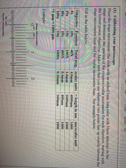 Solved 32 = X TO (1) Calibrating your microscope Place the | Chegg.com