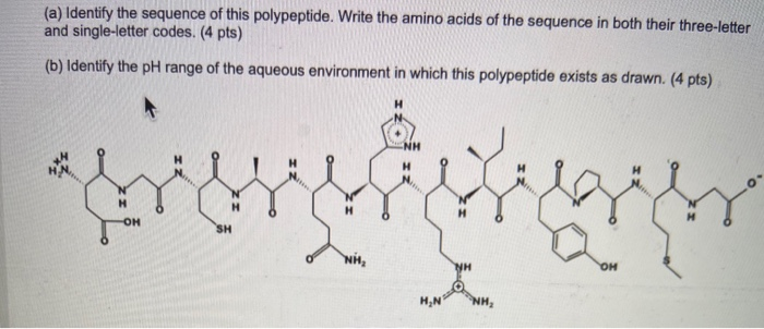 Solved (a) Identify the sequence of this polypeptide. Write | Chegg.com