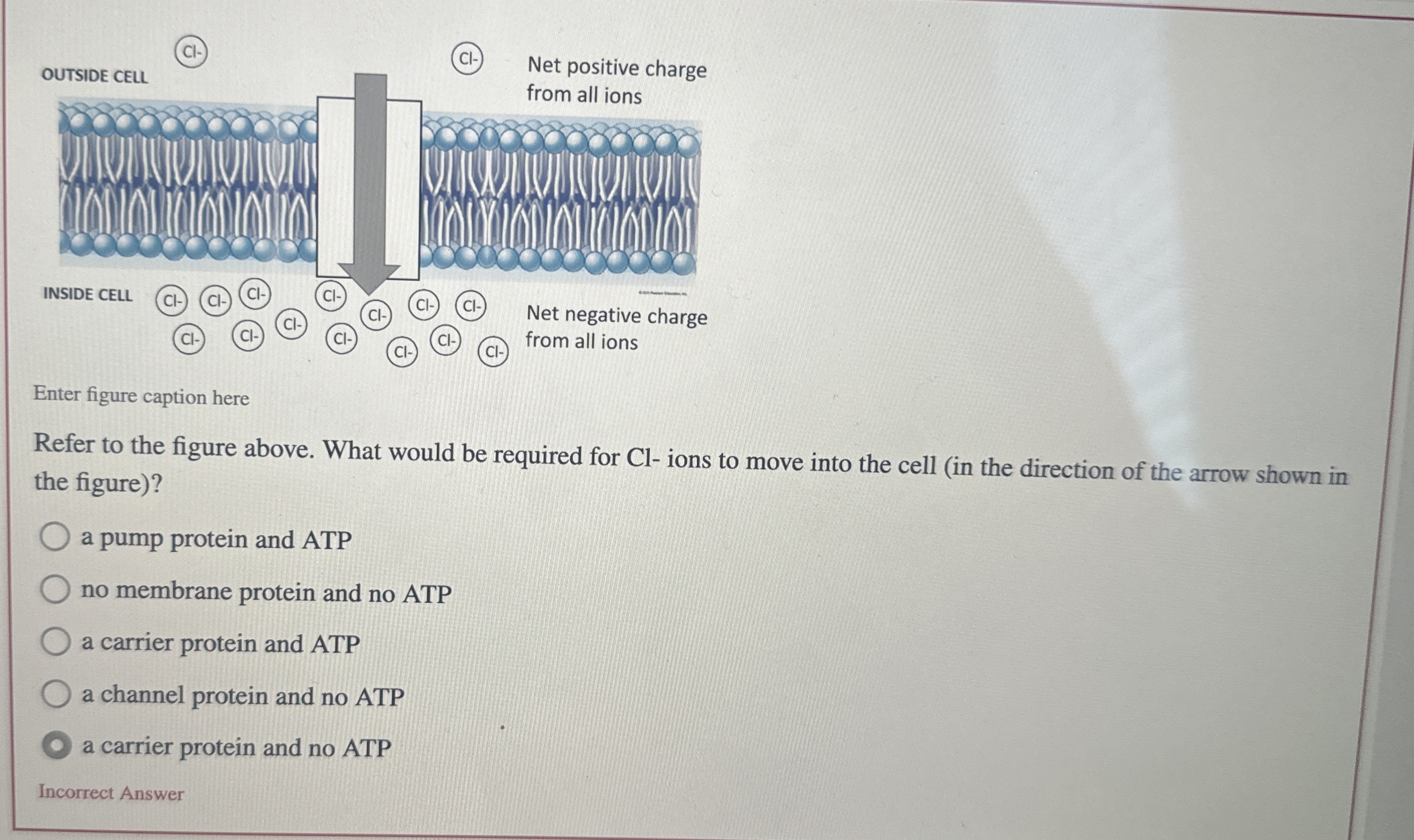 Solved Enter figure caption hereRefer to the figure above. | Chegg.com