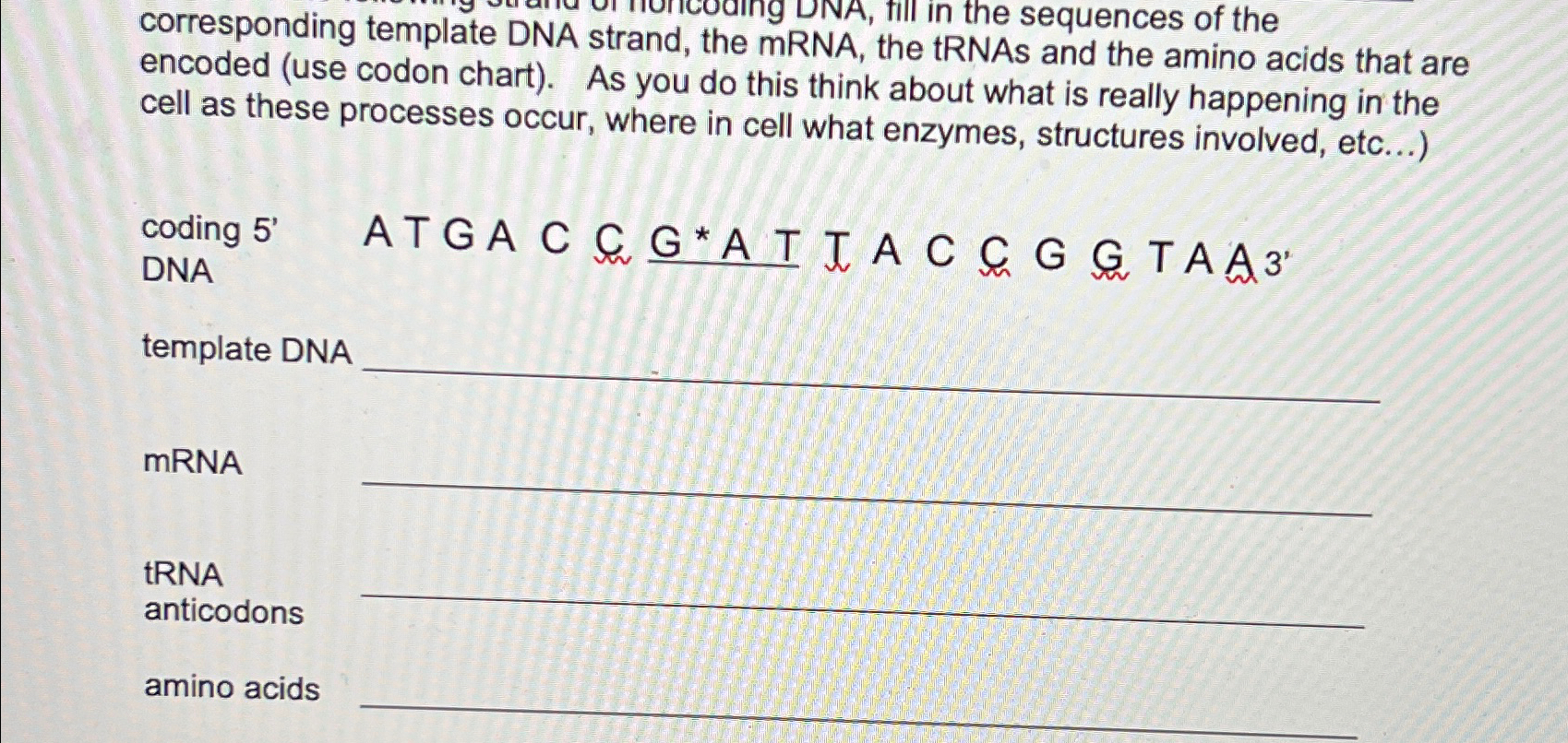 Solved corresponding template DNA strand, the mRNA, fill in | Chegg.com
