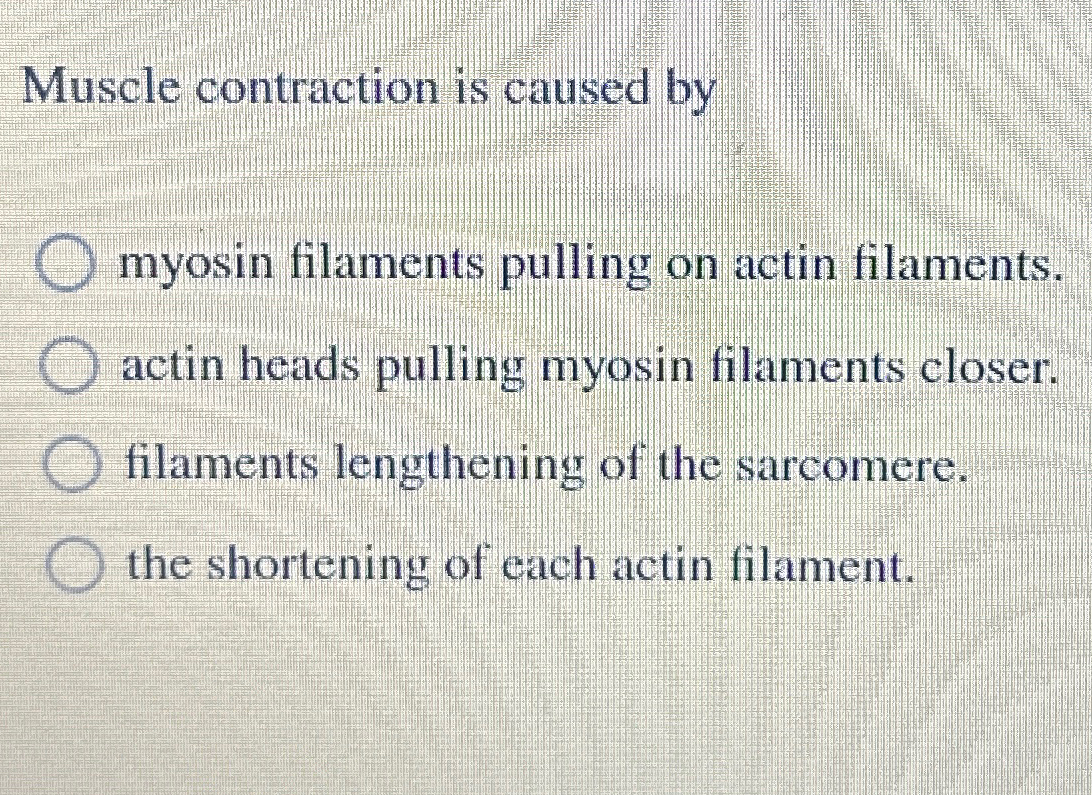 Solved Muscle contraction is caused bymyosin filaments | Chegg.com