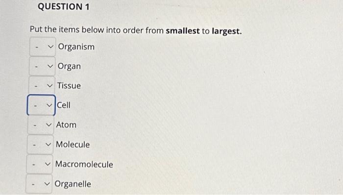 Solved Put the items below into order from smallest to | Chegg.com