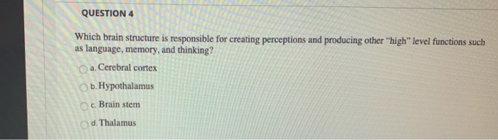 Solved QUESTION 1 The process of transforming energy in the | Chegg.com