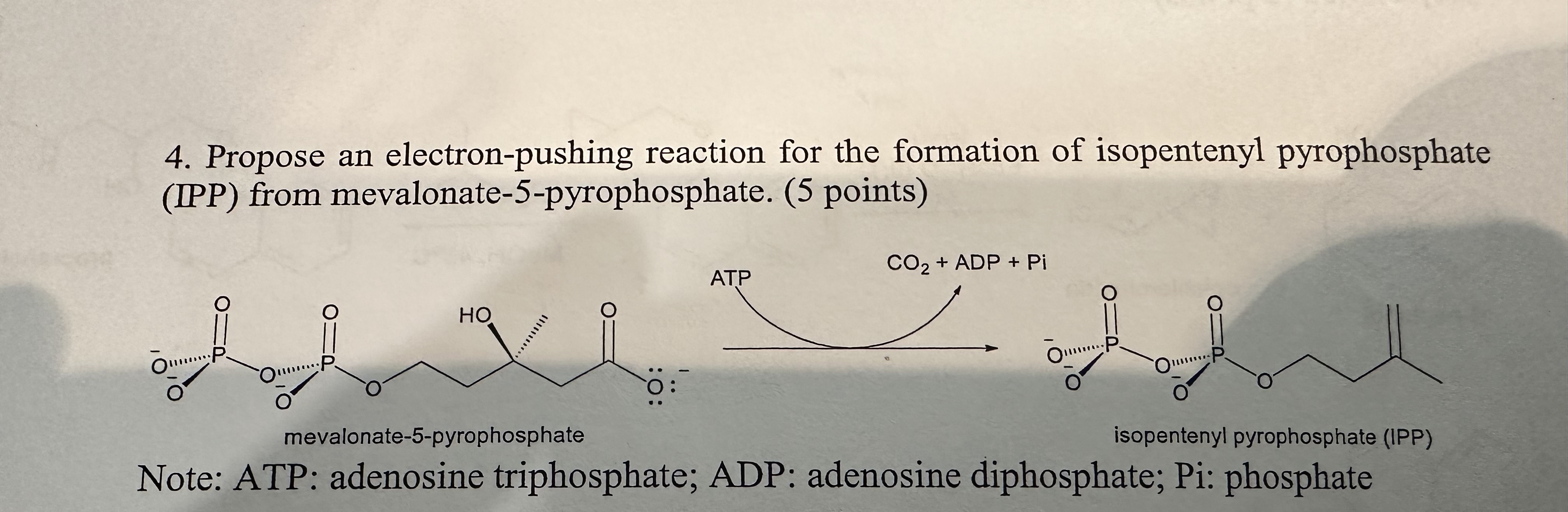 Solved Propose an electron-pushing reaction for the | Chegg.com