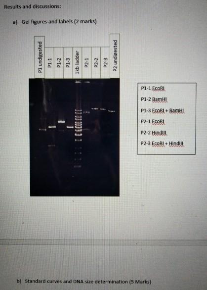 Results and discussions:a) ﻿Gel figures and labels (2 | Chegg.com