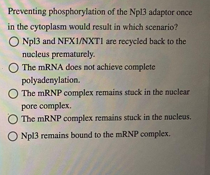 Solved Preventing phosphorylation of the Npl3 ﻿adaptor | Chegg.com
