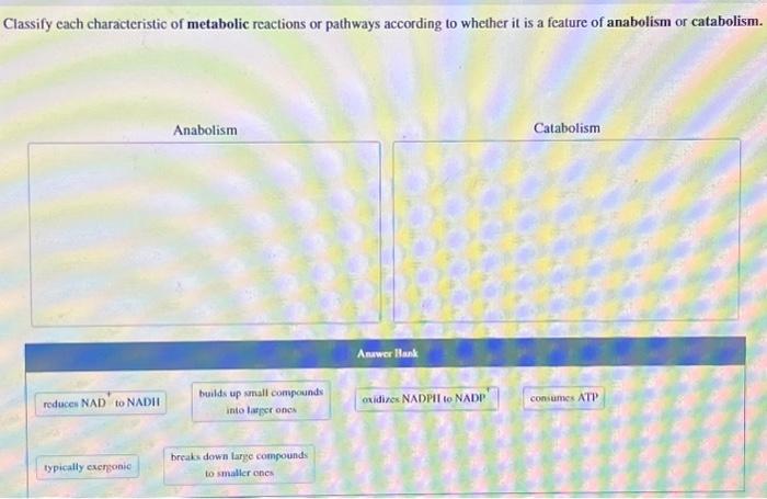 Solved Classify each characteristic of metabolic reactions | Chegg.com Solved Classify each characteristic of metabolic reactions | Chegg.com