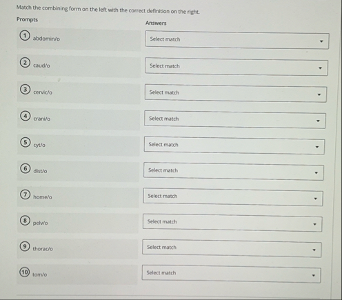 Solved Match the combining form on the left with the correct | Chegg.com