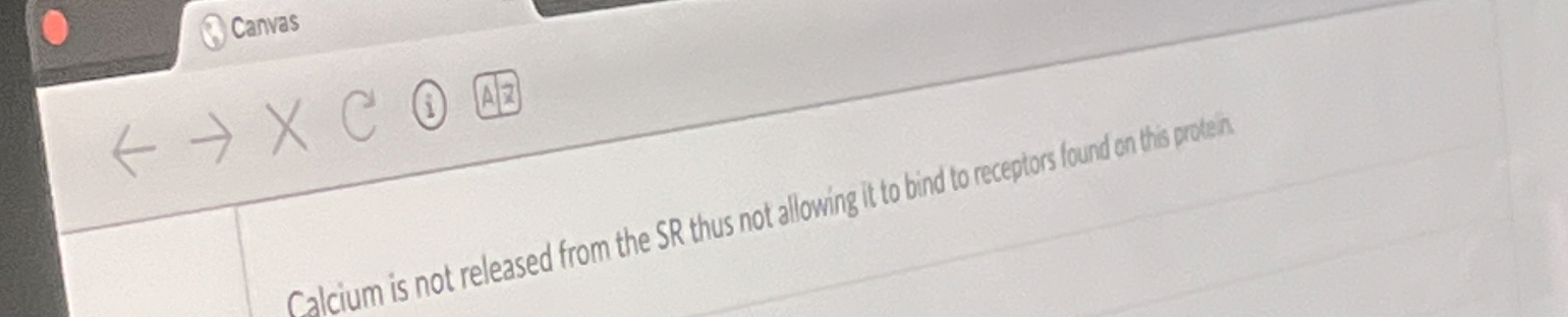 Solved calcium is not released from the SR thus not allowing | Chegg.com