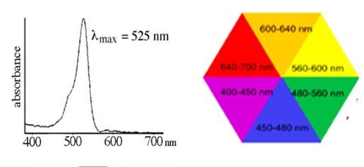 Solved The absorbance graph at different wavelengths of a | Chegg.com