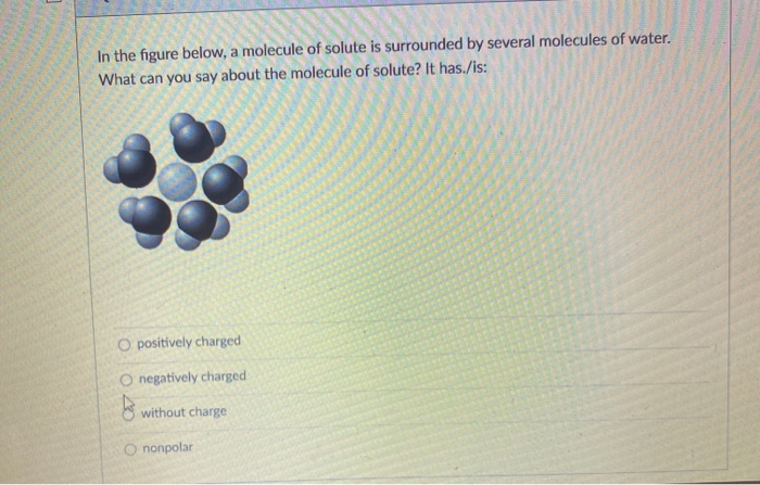 Solved In the figure below, a molecule of solute is | Chegg.com