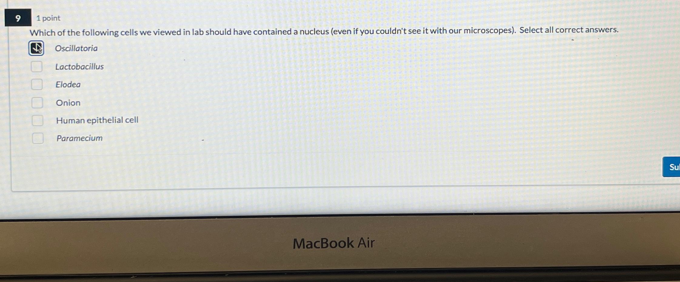 Solved 91 ﻿pointWhich of the following cells we viewed in | Chegg.com
