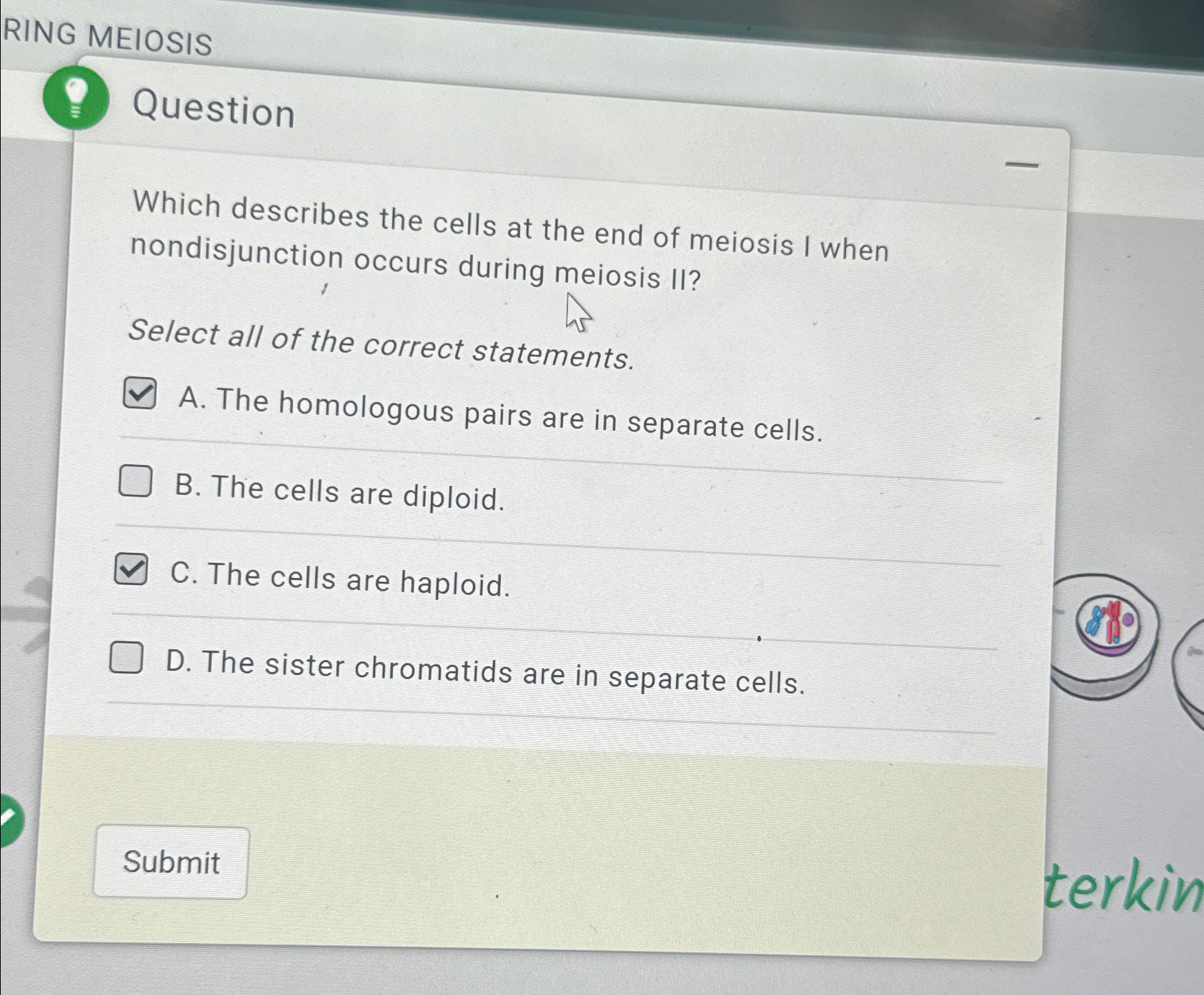 Solved RING MEIOSISQuestionWhich describes the cells at the | Chegg.com