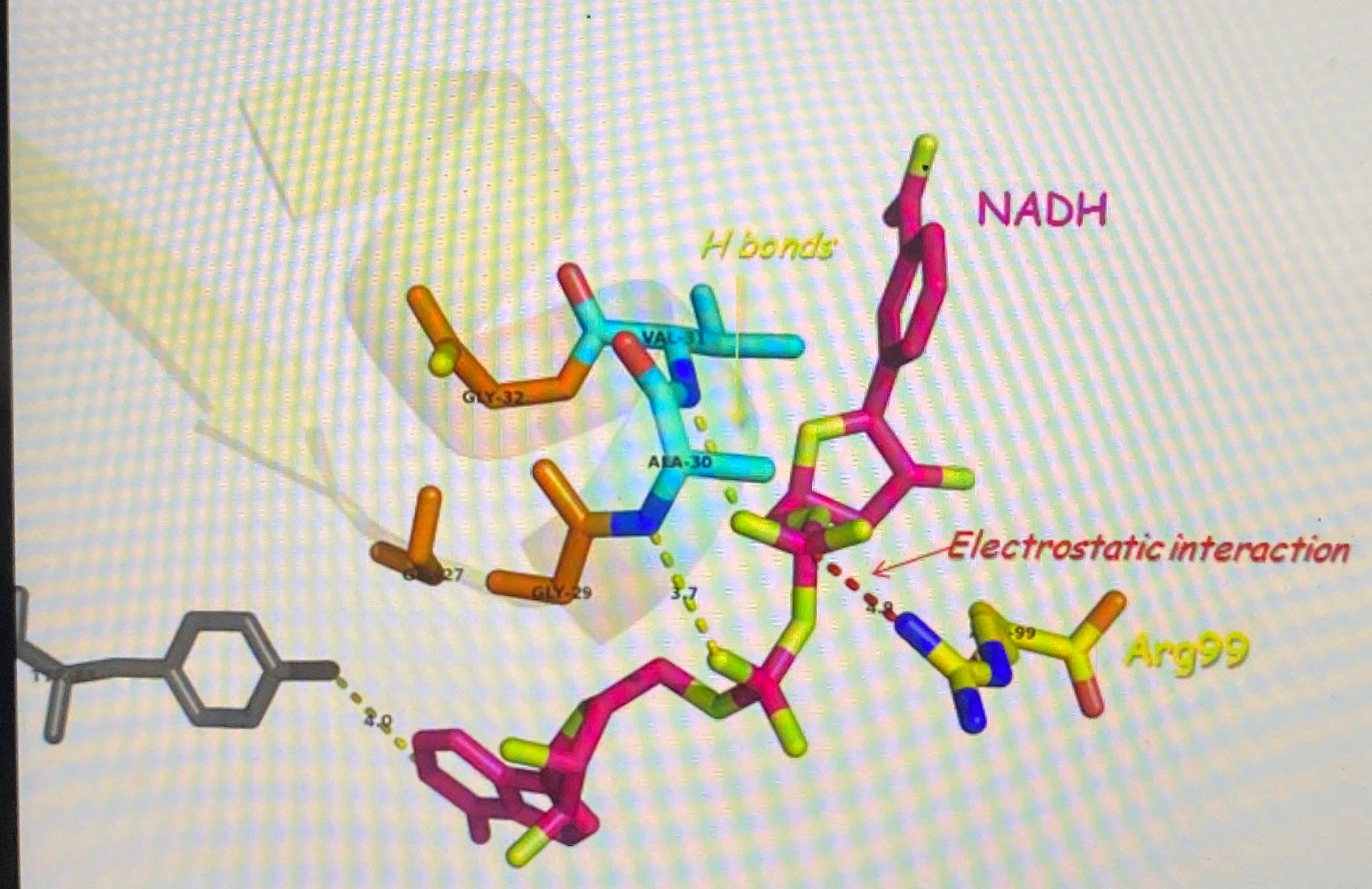 Solved how are the NADH phosphate groups recognised by the | Chegg.com