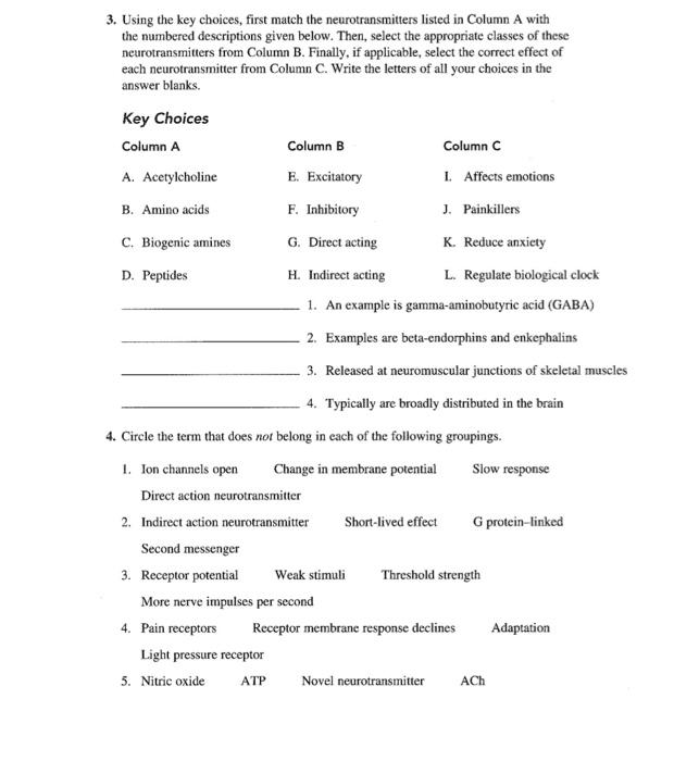 Solved 3. Using the key choices, first match the | Chegg.com