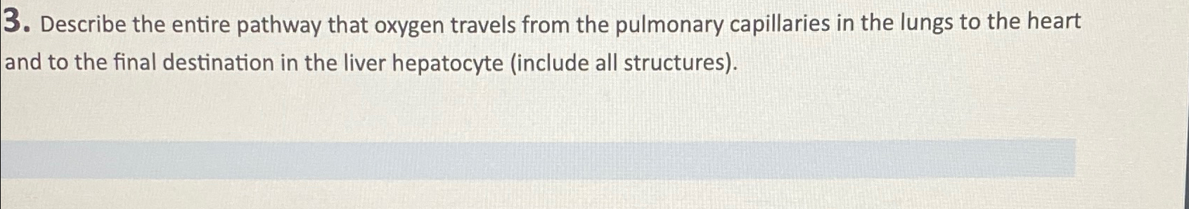 Solved Describe the entire pathway that oxygen travels from | Chegg.com