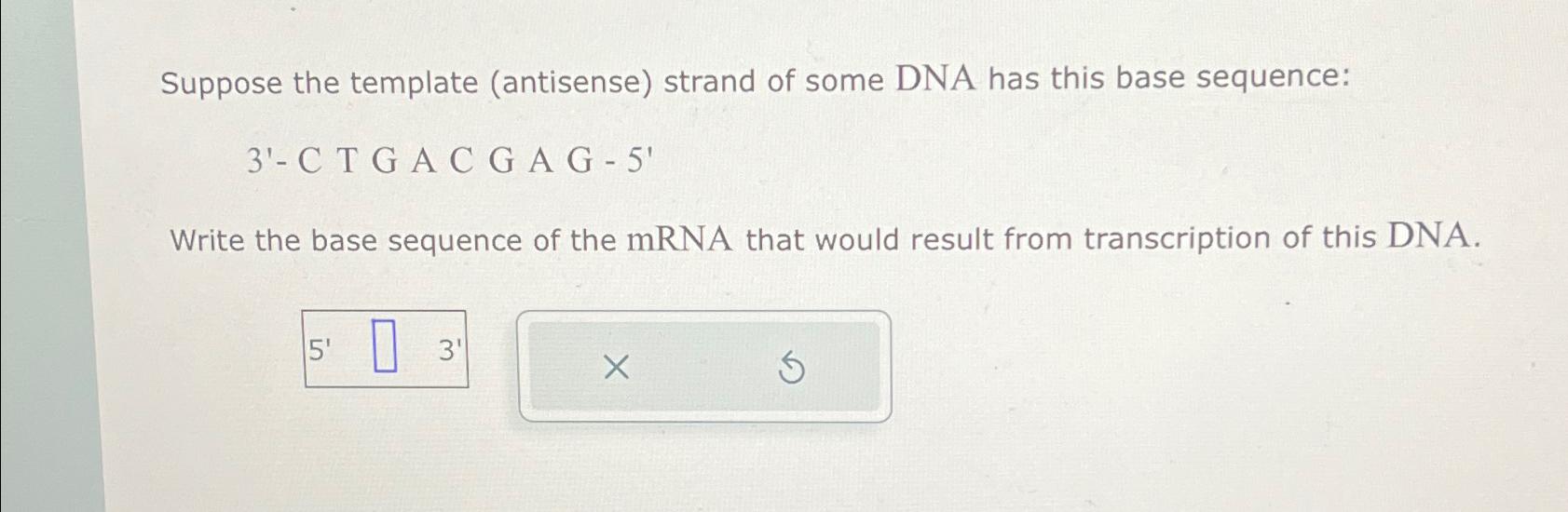 Solved Suppose the template (antisense) ﻿strand of some DNA | Chegg.com