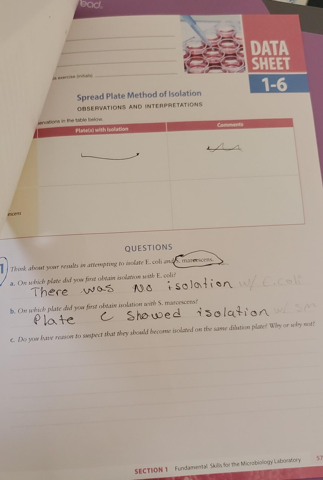 Solved Spread Plate Method of Isolation OBSERVATIONS AND | Chegg.com