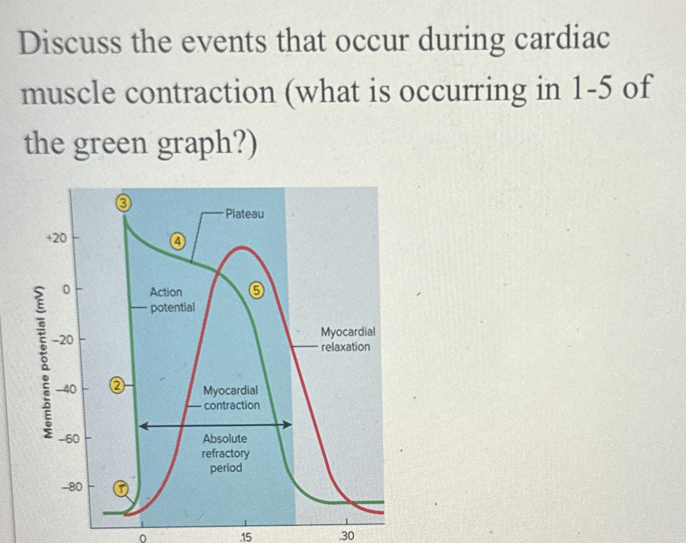 Solved Discuss the events that occur during cardiacmuscle | Chegg.com