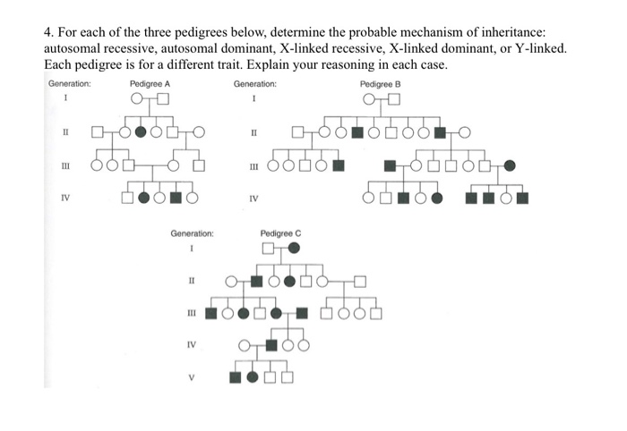 Pedigree B 4. For each of the three pedigrees below, | Chegg.com