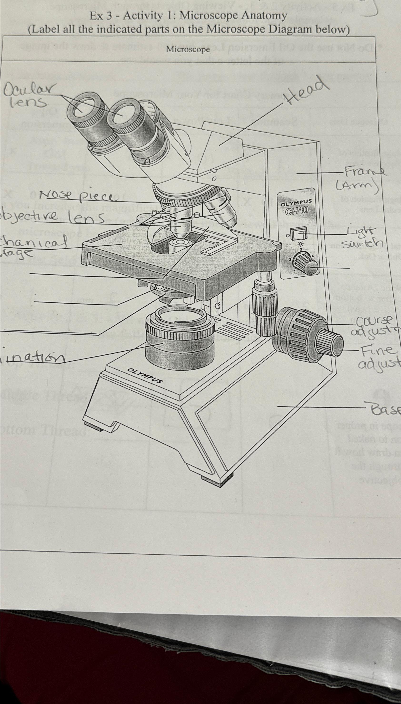 Solved Ex 3 - ﻿Activity 1: Microscope Anatomy(Label all the | Chegg.com
