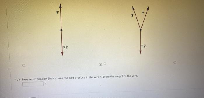 Solved The distance between two telephone poles is d = 51.5 | Chegg.com