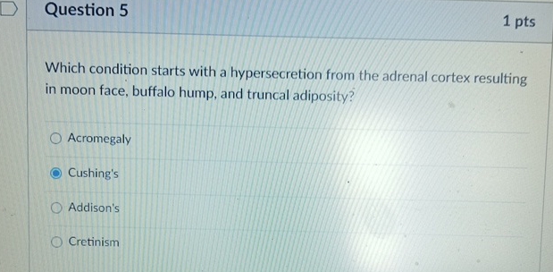 Solved Question 51 ﻿ptsWhich condition starts with a | Chegg.com