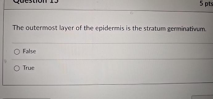 Solved The outermost layer of the epidermis is the stratum | Chegg.com